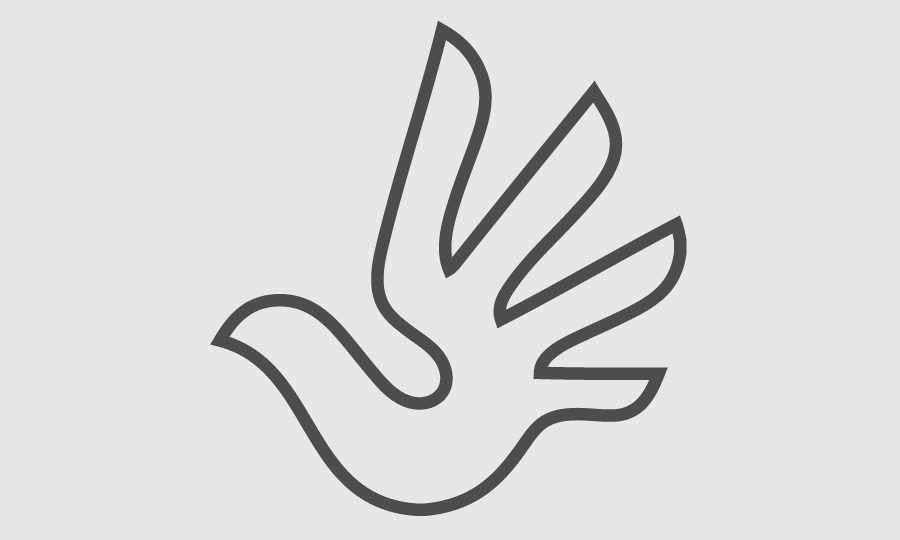 Human Rights – HRE USA