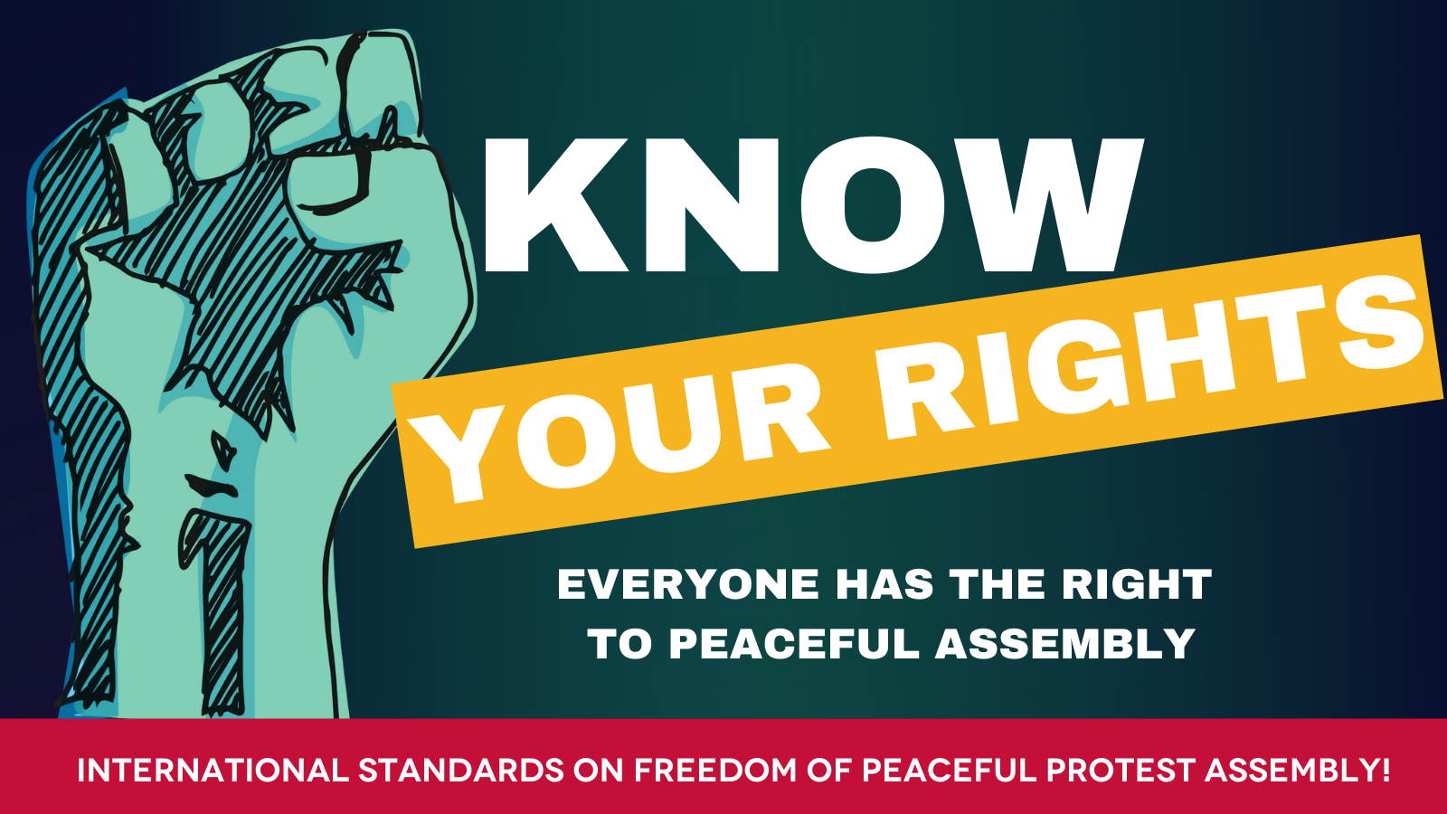 Do you know your rights when it comes to Peaceful Assembly? – HRE USA