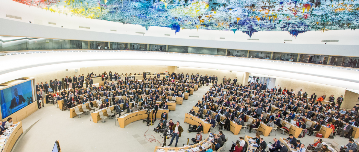 The UN Human Rights Council Training Programme is open for applications ...