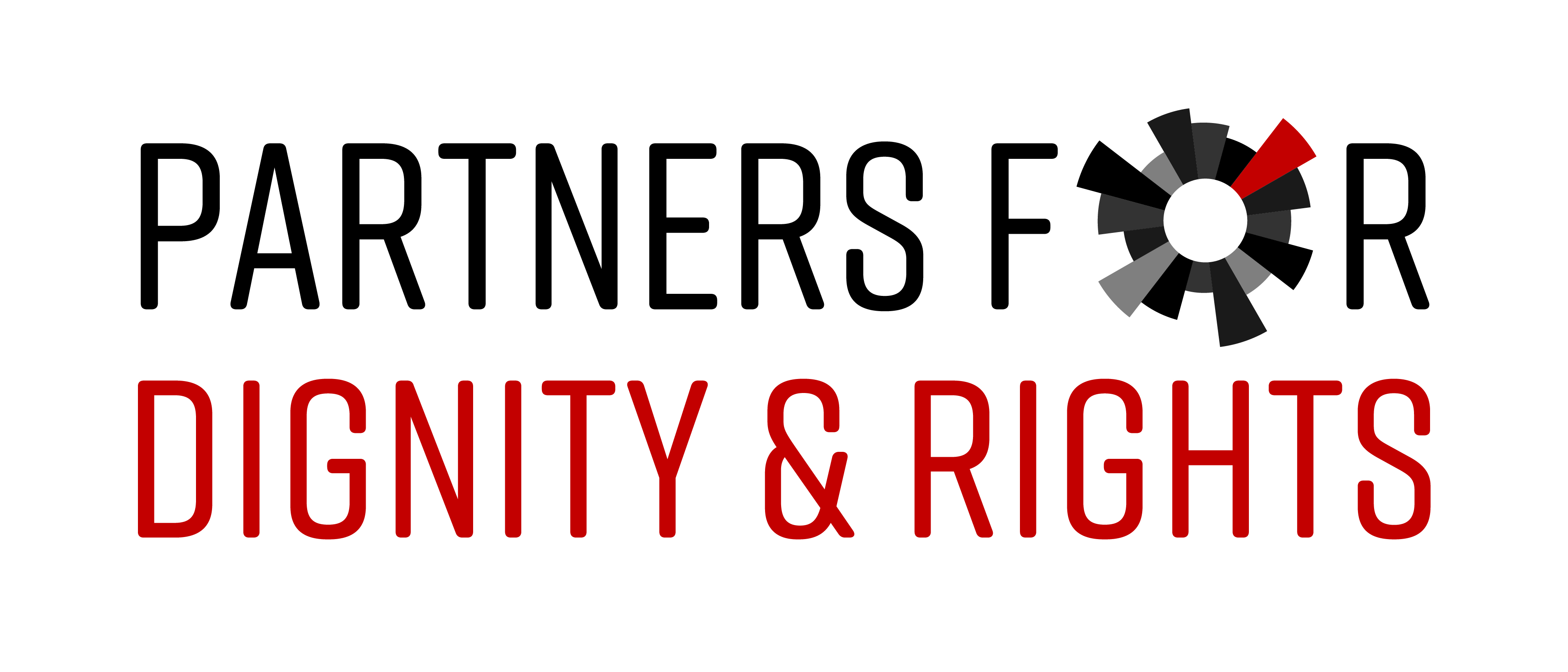 Partners for Dignity & Rights: Assemblies as a Tool for Just Democracy – HRE USA